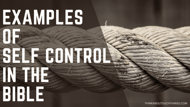 A Powerful Look At The Fruit Of The Spirit: Self-Control | Think About ...