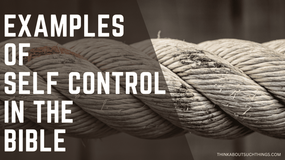 A Powerful Look At The Fruit Of The Spirit: Self-Control | Think About ...