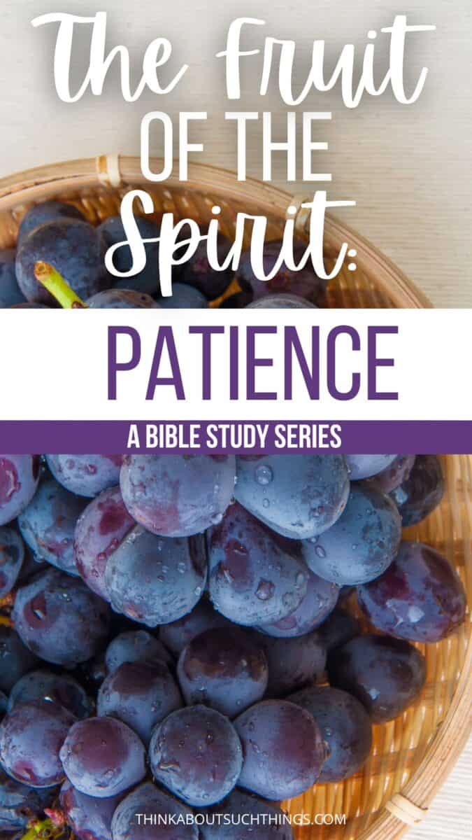 A Powerful Look At The Fruit Of The Spirit: Patience | Think About Such ...