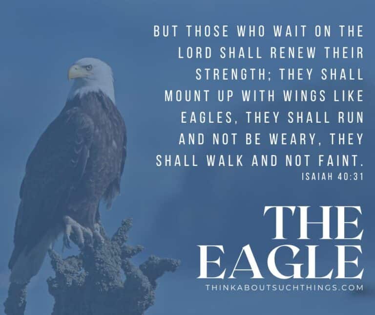 Eagles In The Bible: Symbolism, References, & Meaning | Think About Such Things