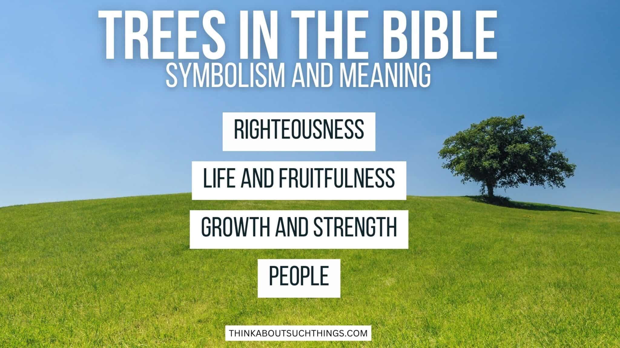 Trees In The Bible: Symbolism And Significance | Think About Such Things