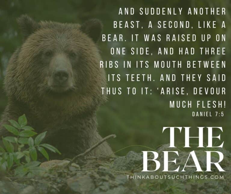 Bears In The Bible: Symbolism, References, & Meaning | Think About Such ...