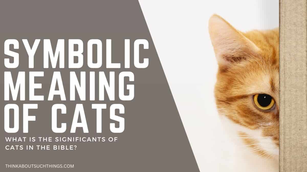 Cats In The Bible: Symbolism, References, & Meaning | Think About Such ...