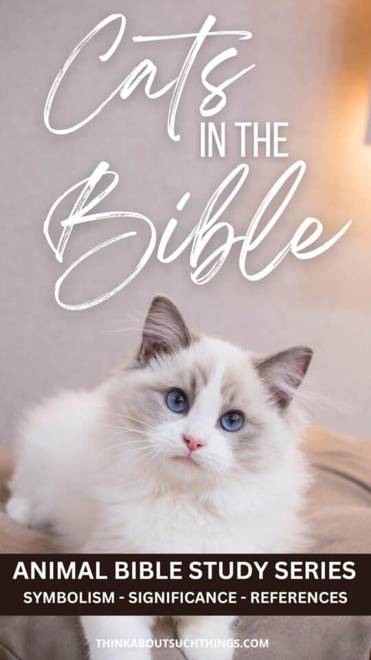 Cats In The Bible: Symbolism, References, & Meaning | Think About Such ...