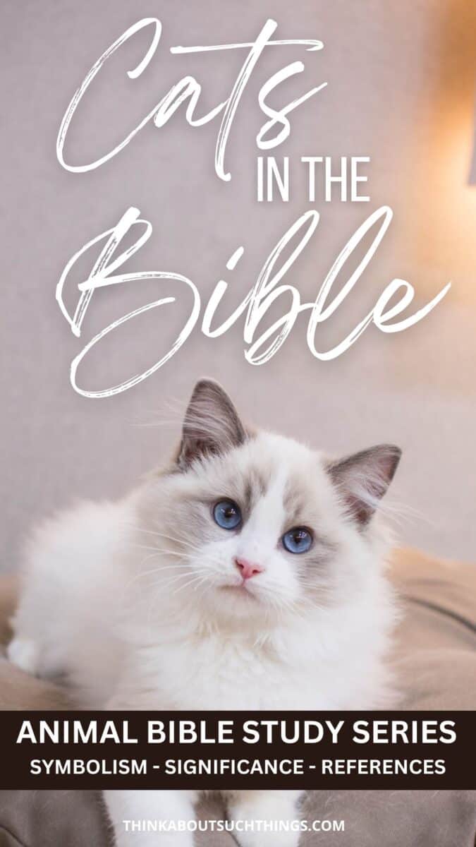 Cats In The Bible: Symbolism, References, & Meaning | Think About Such ...