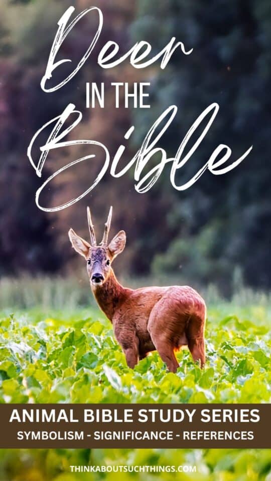 Deer In The Bible: Symbolism, References, & Meaning | Think About Such ...
