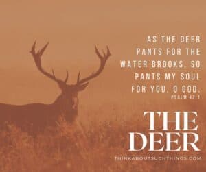 Deer In The Bible: Symbolism, References, & Meaning | Think About Such ...