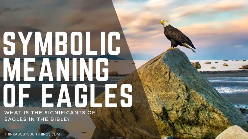 Eagles In The Bible: Symbolism, References, & Meaning | Think About ...