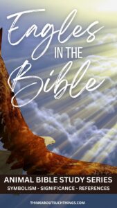 Eagles In The Bible: Symbolism, References, & Meaning | Think About ...