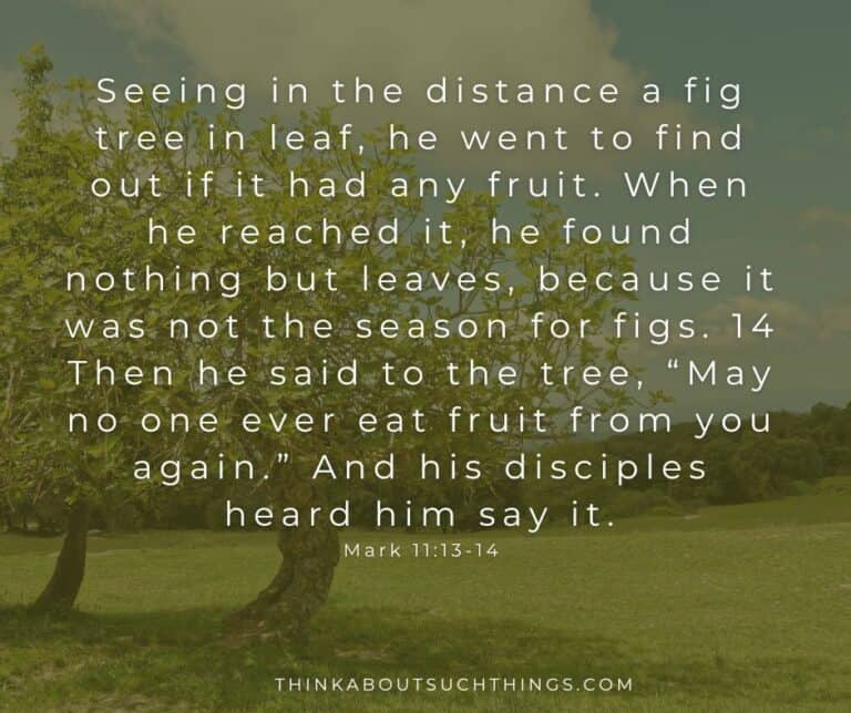 Trees In The Bible: Symbolism And Significance | Think About Such Things