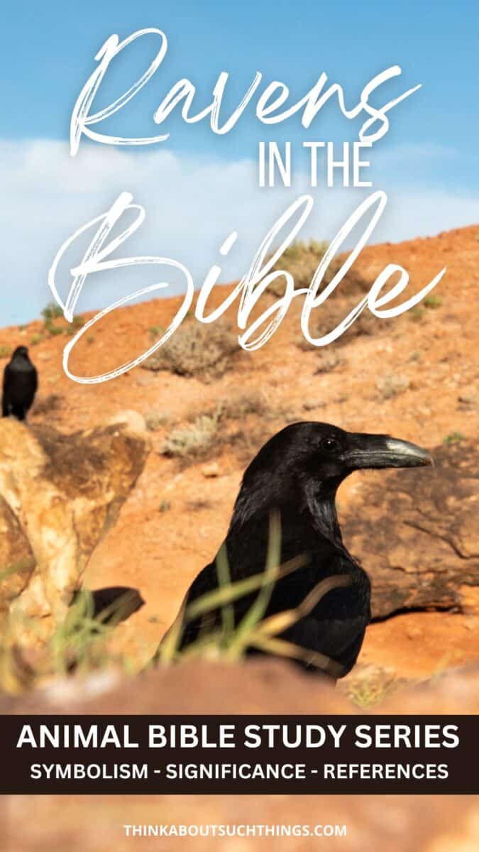Ravens In The Bible: Symbolism, References, & Meaning | Think About ...