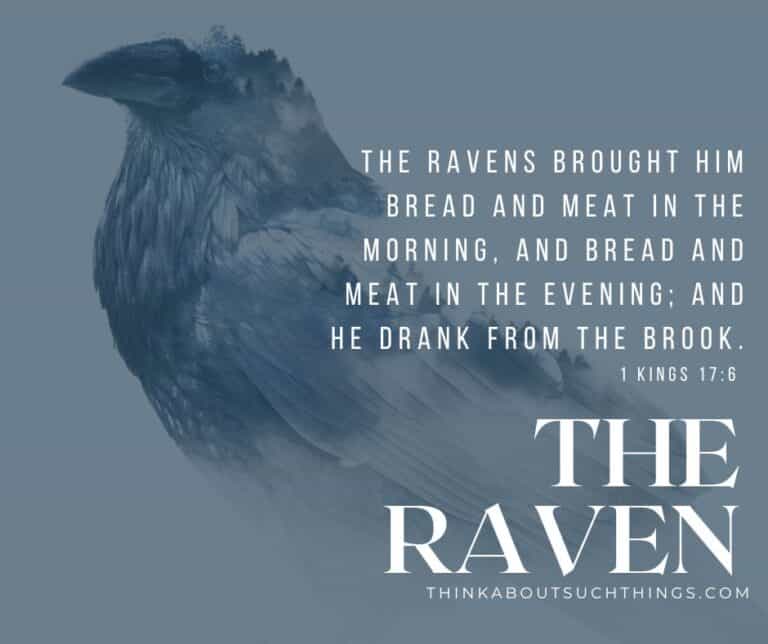 Ravens In The Bible: Symbolism, References, & Meaning | Think About ...