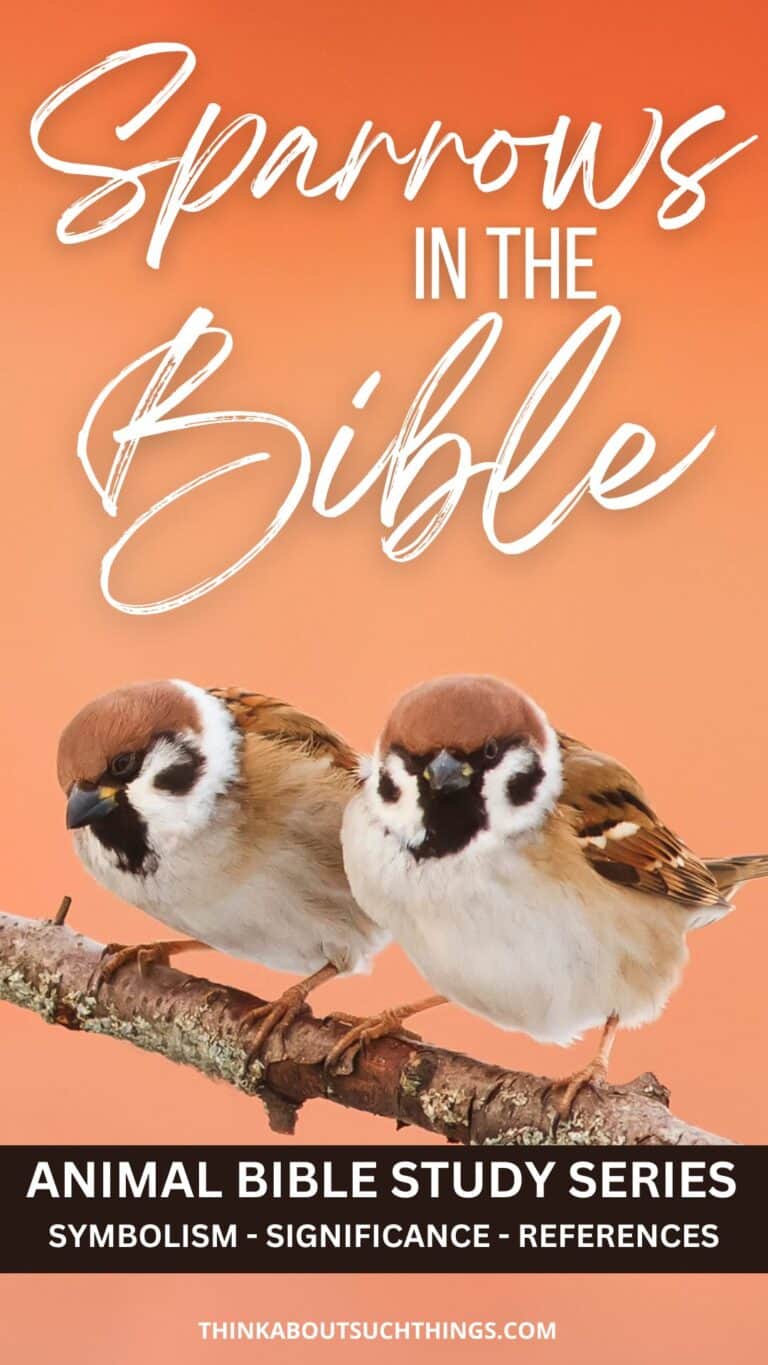 Sparrows In The Bible: Symbolism, References, & Meaning | Think About ...