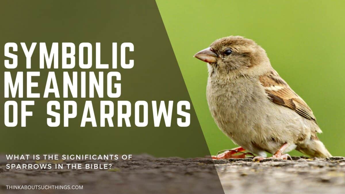 Sparrows In The Bible: Symbolism, References, & Meaning | Think About ...