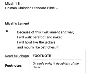 Owls In The Bible: Symbolism, Meaning, Verses, And More | Think About ...