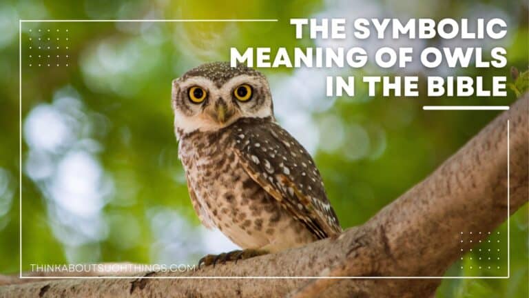 Owls In The Bible: Symbolism, Meaning, Verses, And More | Think About ...