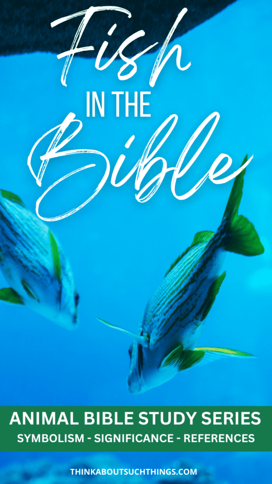 Fish In The Bible: Symbolism, References, & Meaning | Think About Such ...