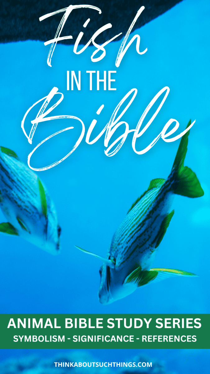 Fish In The Bible: Symbolism, References, & Meaning | Think About Such ...