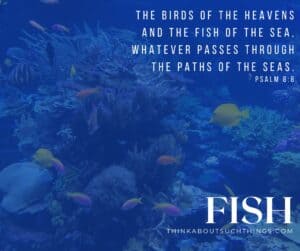 Fish In The Bible: Symbolism, References, & Meaning | Think About Such ...