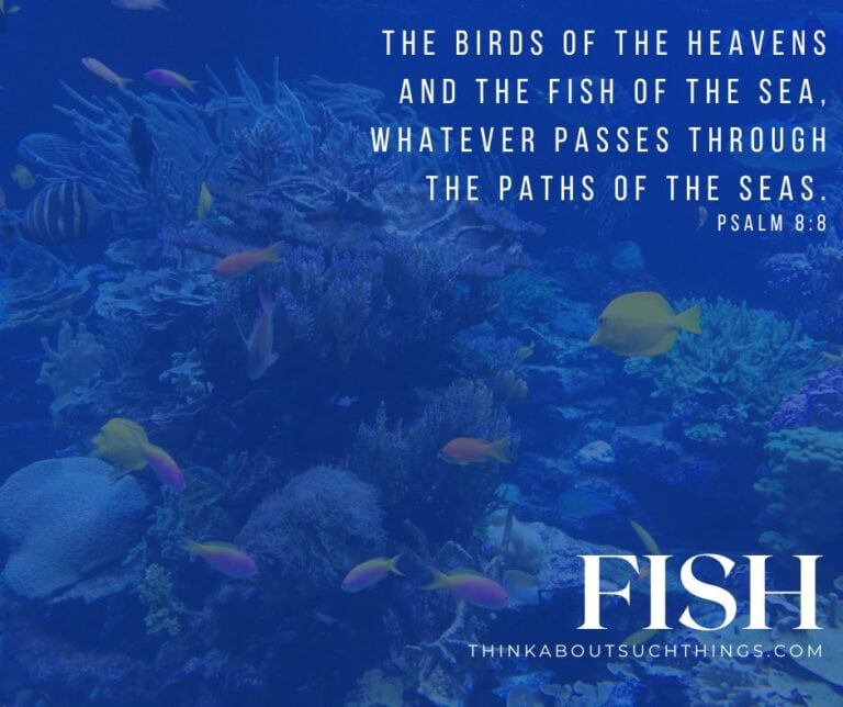 Fish In The Bible: Symbolism, References, & Meaning | Think About Such ...