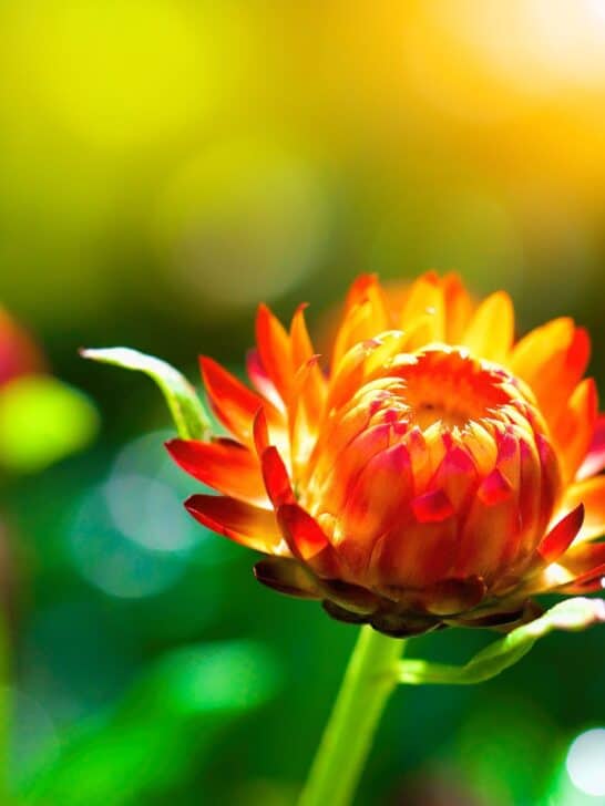 32 Weekend Blessings With Images To Share | Think About Such Things