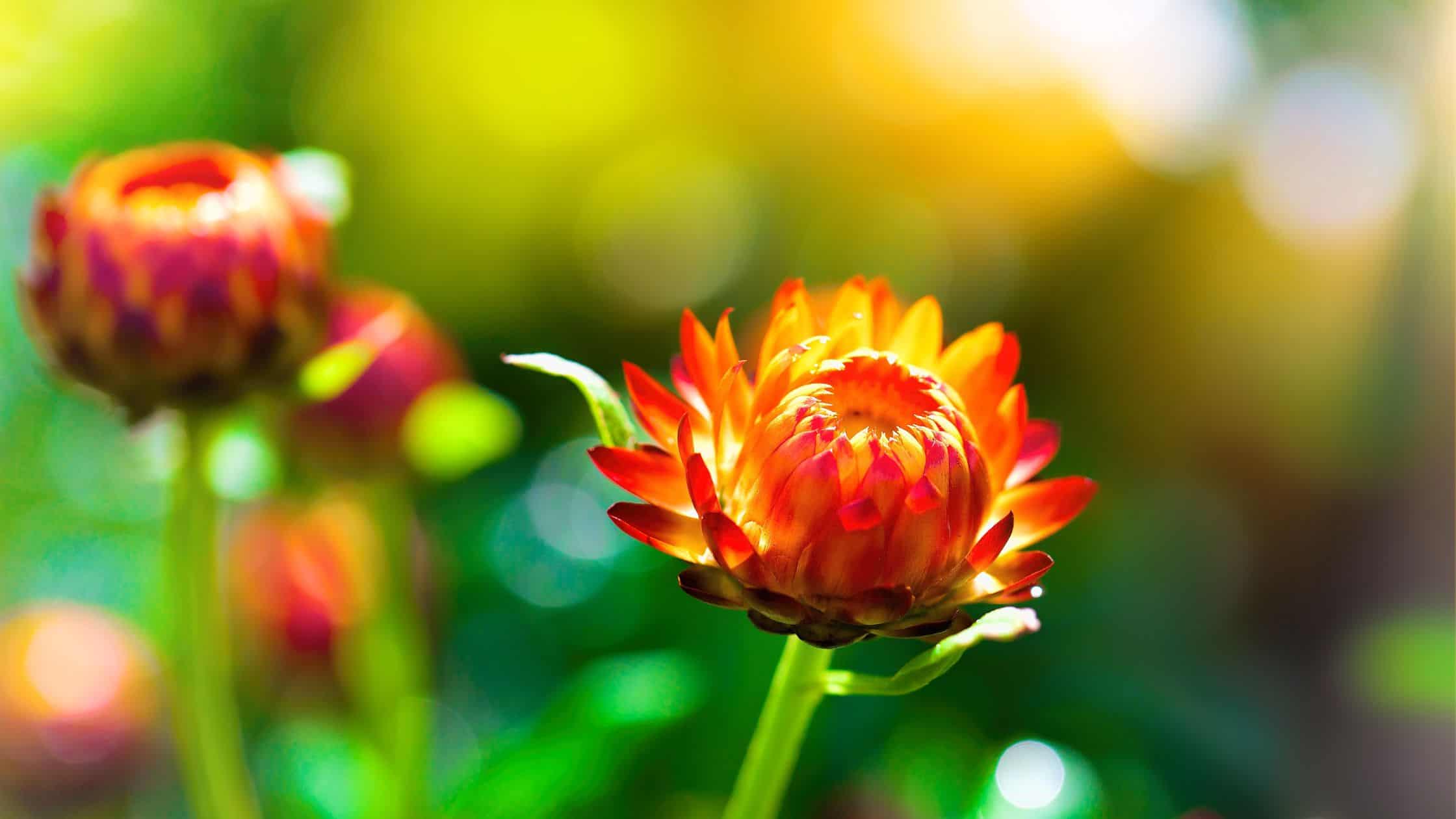 40+ New Week Blessing Quotes You Can Share | Think About Such Things