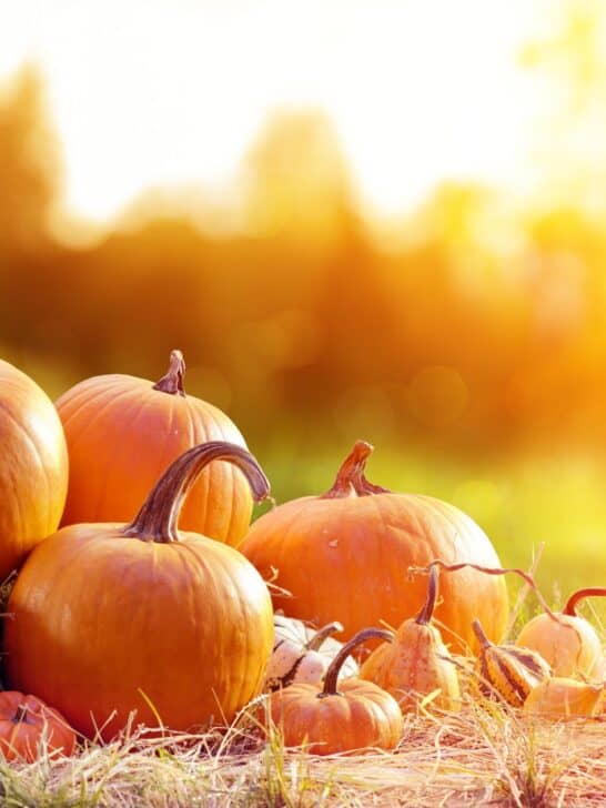 25 Great October Blessings To Share This Fall | Think About Such Things