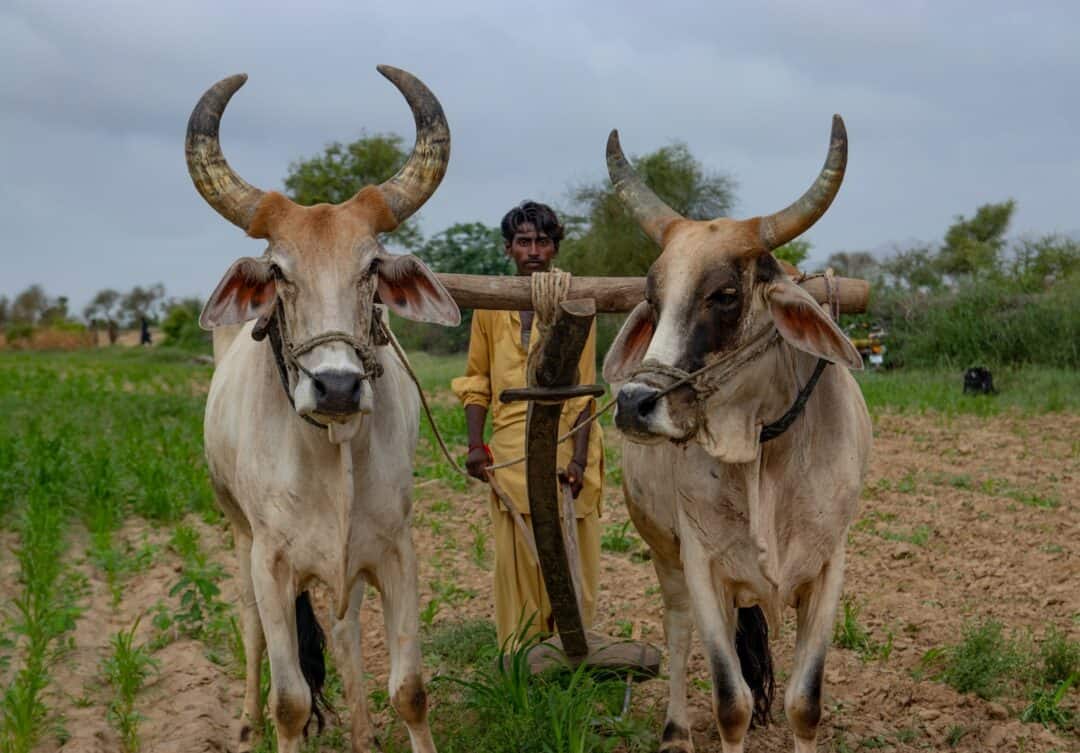 The Anointing Breaks The Yoke: A Look Into Isaiah 10:27 | Think About ...