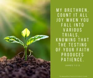 Counting It All Joy: The Meaning Of James 1:2-3 | Think About Such Things