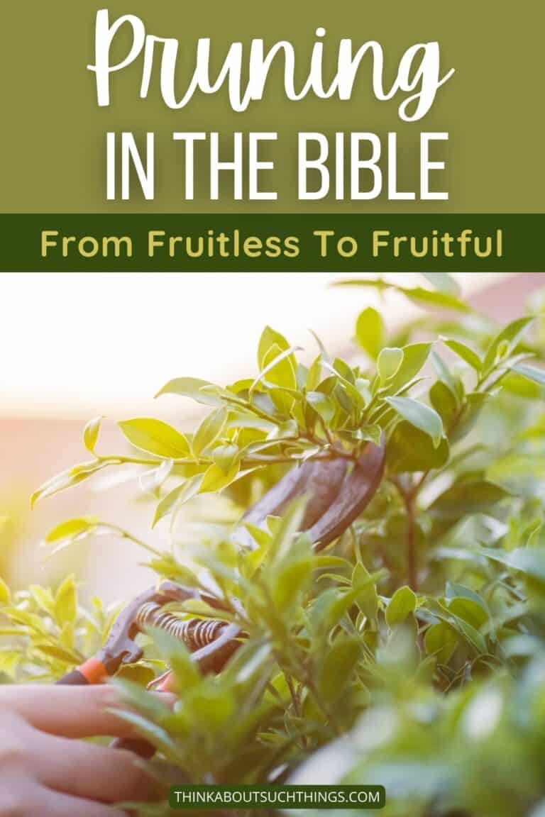Pruning In The Bible: From Fruitless To Fruitful | Think About Such Things