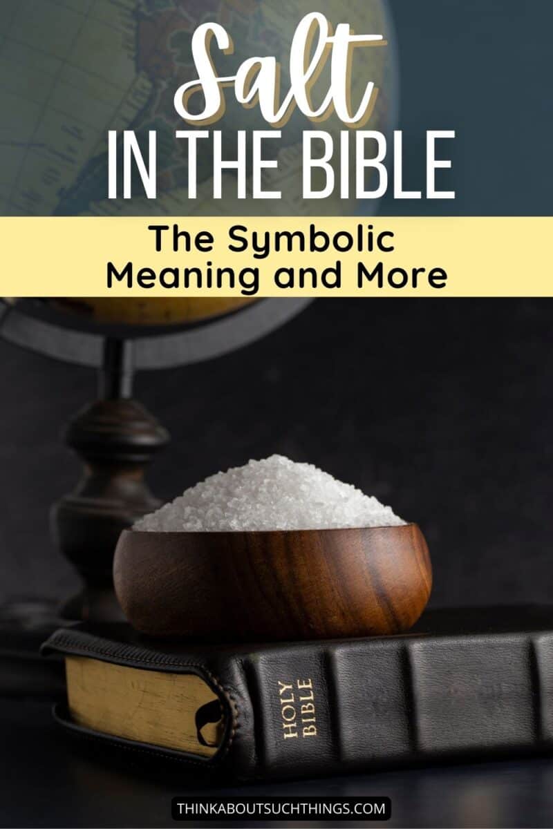Salt In The Bible: The Symbolic Meaning And More | Think About Such Things