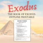 Plagues & Promises: An Outline Of Exodus + FREE PDF | Think About Such ...