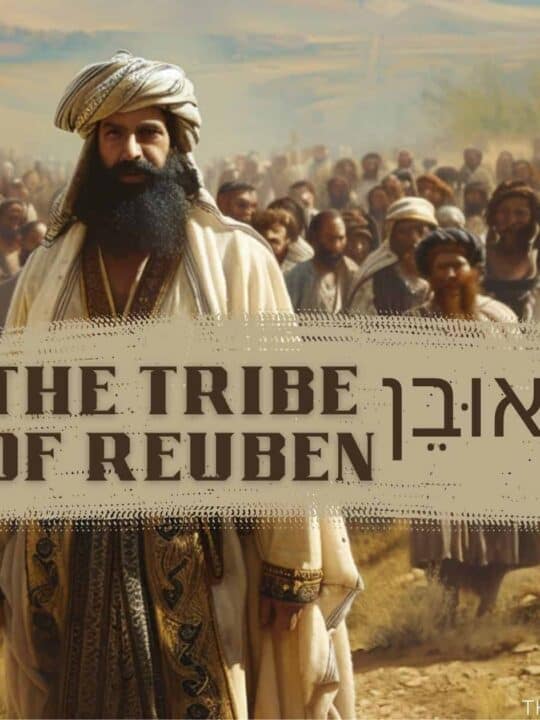 The Tribe Of Simeon: The Fierce And Fatal Son | Think About Such Things