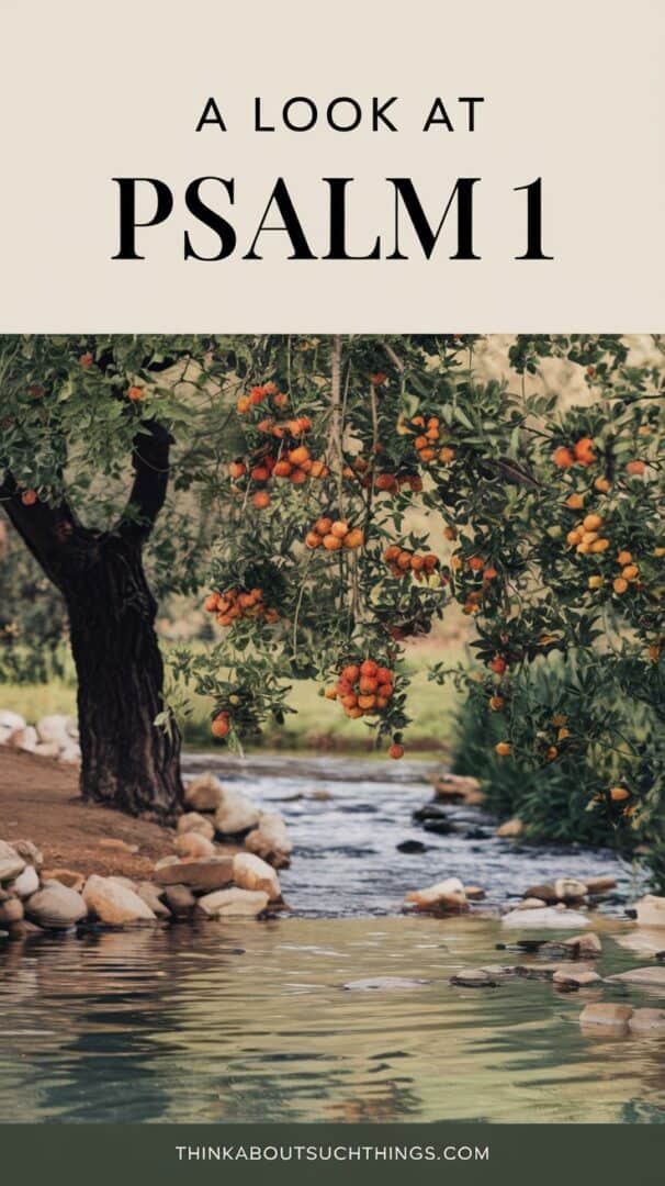 Psalm 1 Bible Study | Think About Such Things
