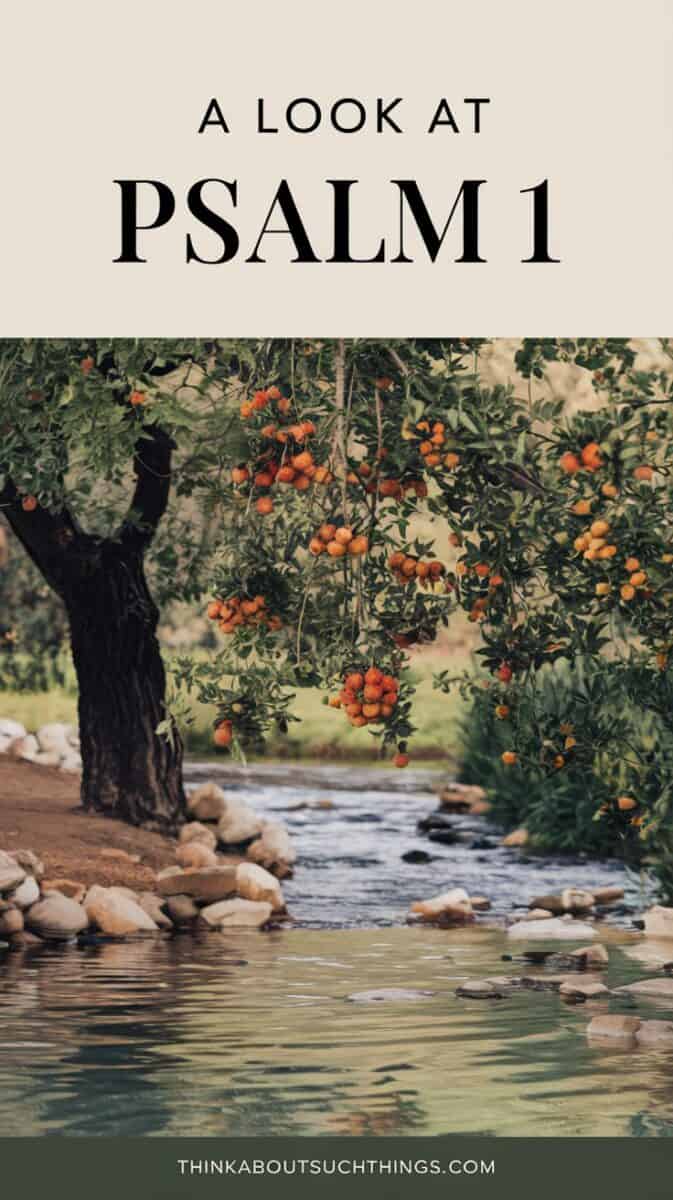 Psalm 1 Bible Study | Think About Such Things