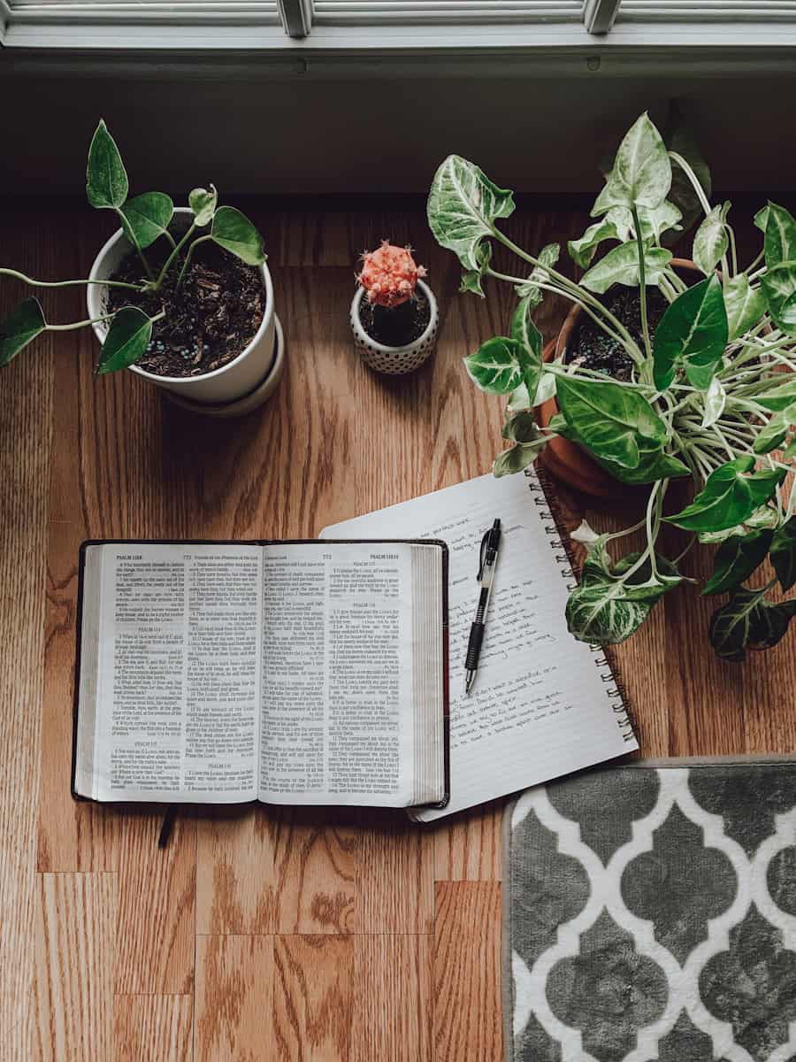 How To Read The Bible: A Simple Guide | Think About Such Things